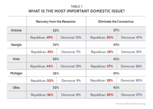 What is the most important domestic issue - Table - AAF